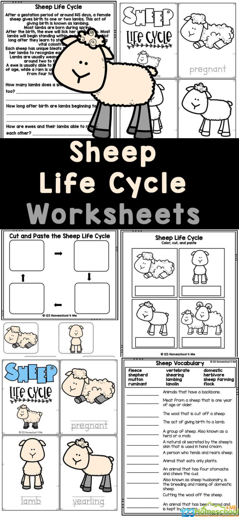 FREE Printable Dog Life Cycle Worksheets for Elementary Students