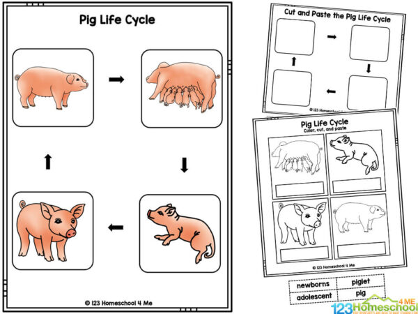 FREE Printable Pig Life Cycle Worksheets for Elementary Students