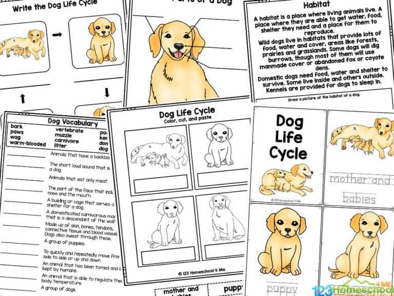 FREE Printable Dog Life Cycle Worksheets for Elementary Students