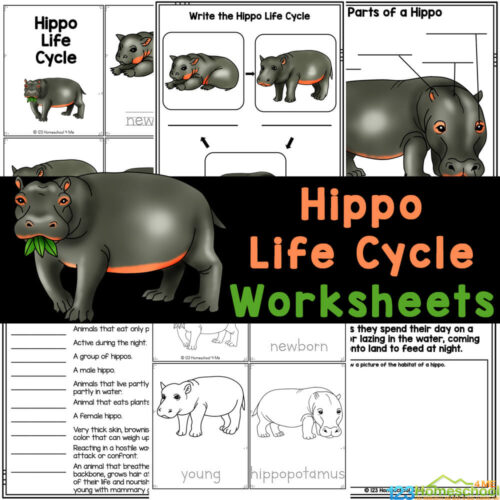 Life Cycles Archives - 123 Homeschool 4 Me