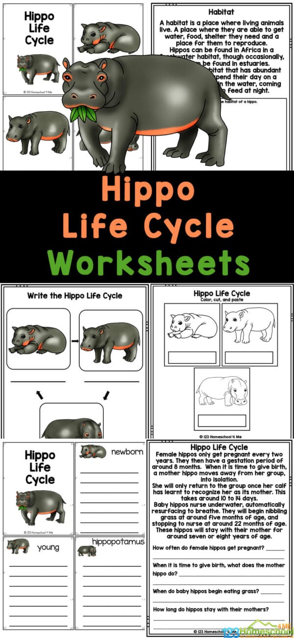 🐈 FREE Printable Cat Life Cycle for Kids Worksheets