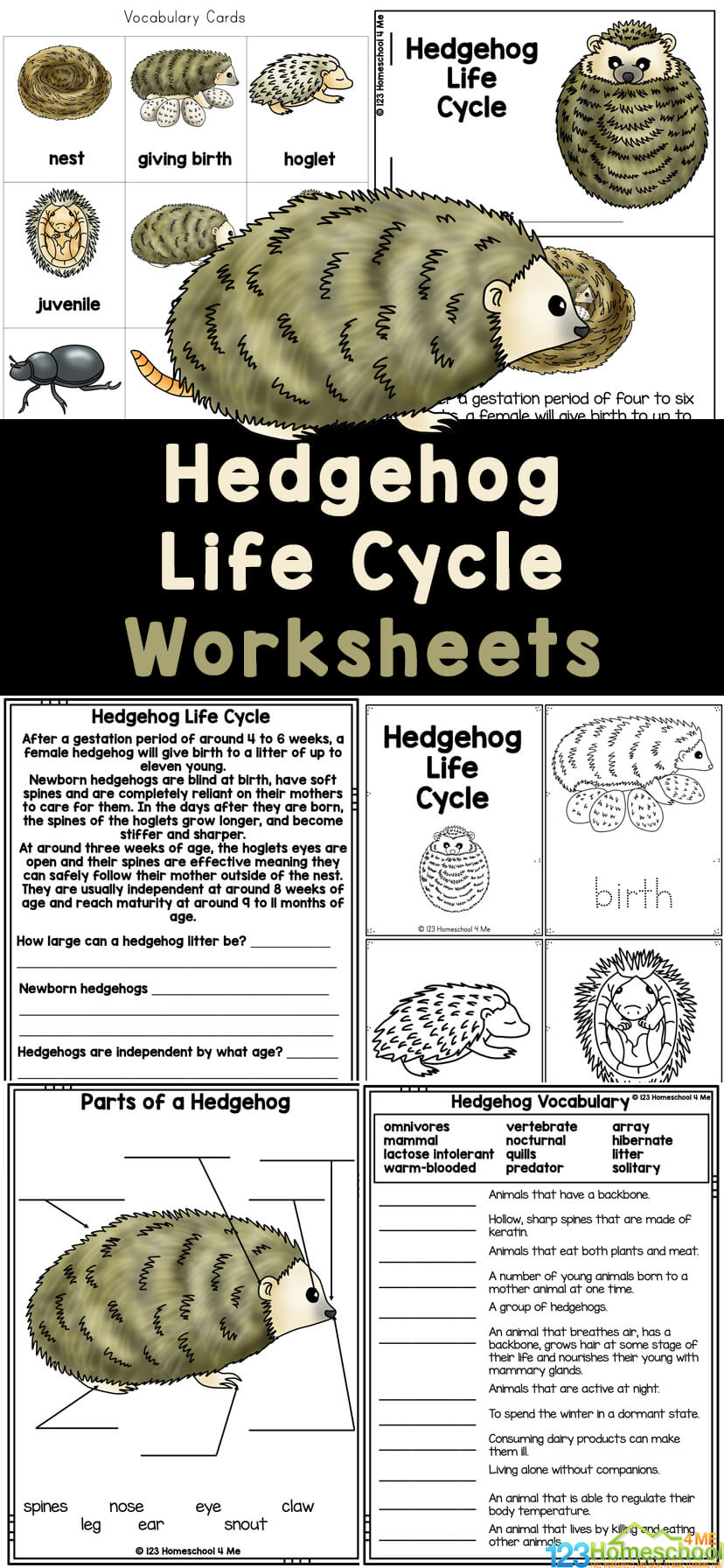 🦔 FREE Printable Hedgehog Life Cycle Worksheets
