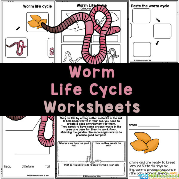 Life Cycles Archives - 123 Homeschool 4 Me