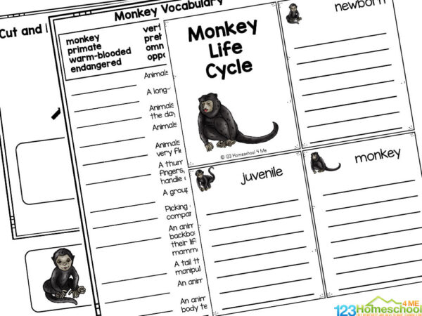 FREE Printable Monkey Life Cycle Worksheets for Kids