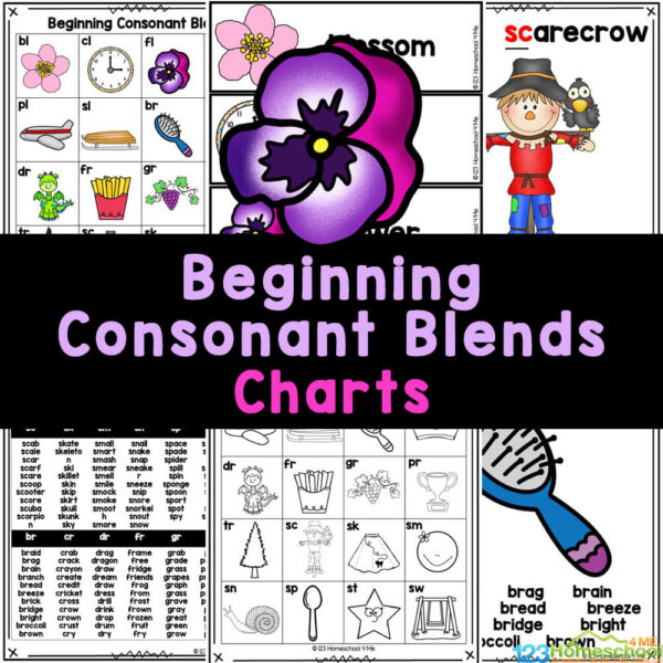 Blends And Digraphs Explained: With Free Resources
