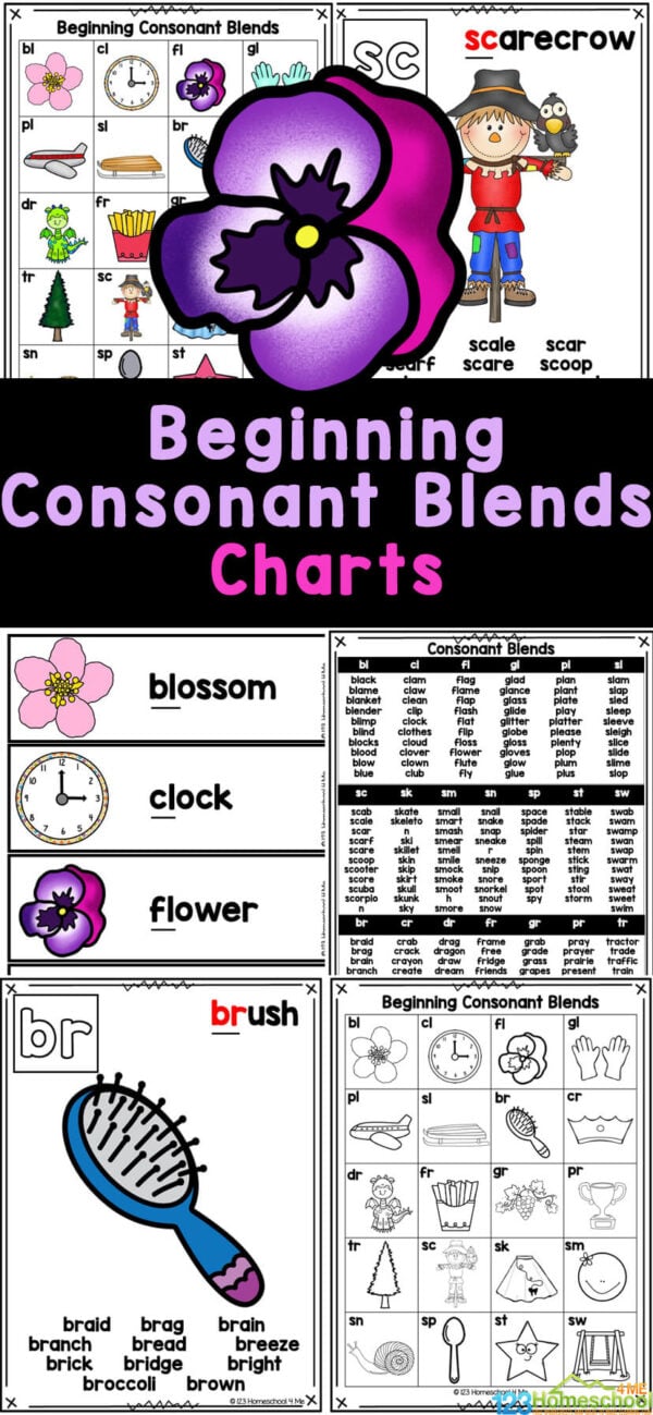 Phonics Beginning Consonant Blends Charts (Initial Blending Words with ...