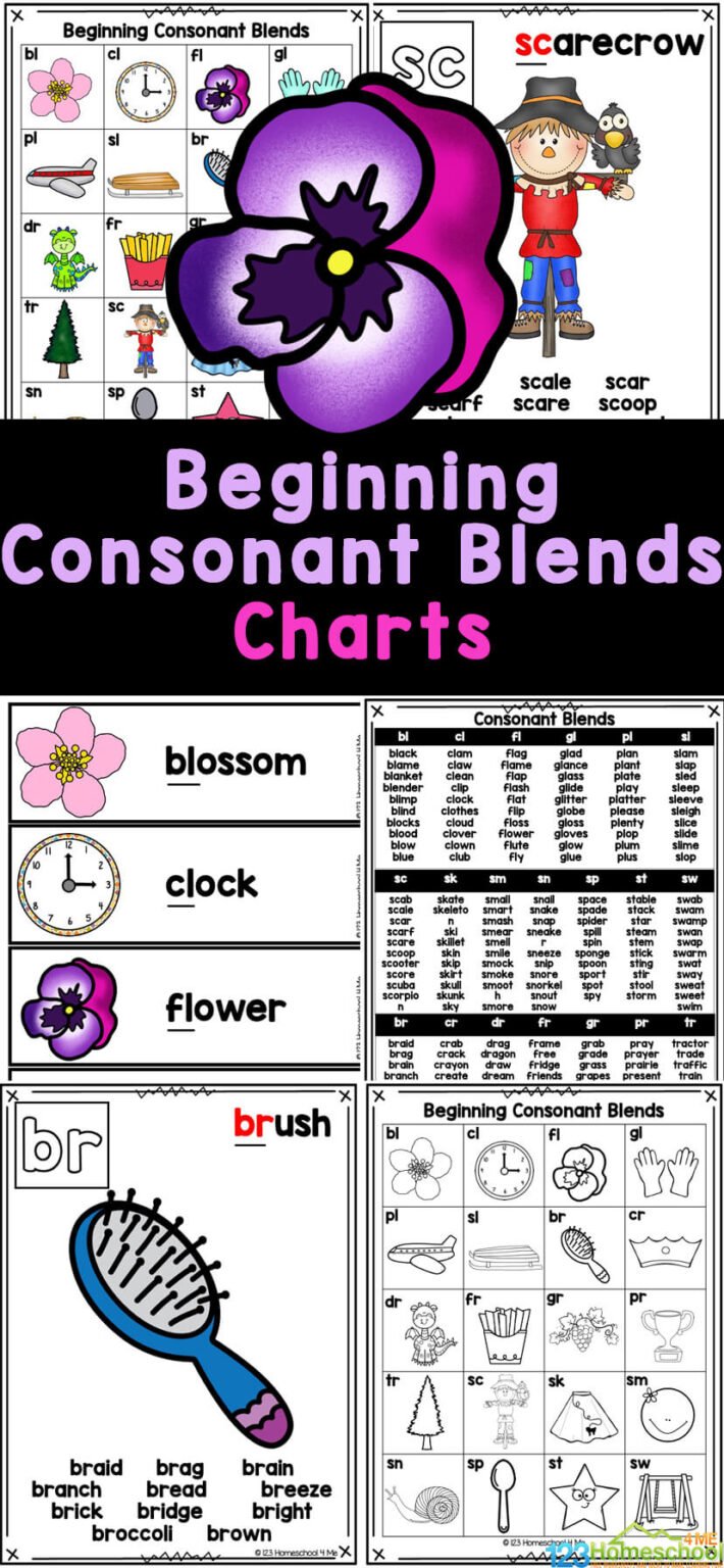 S Blends Worksheets - sc, sk, st or sw