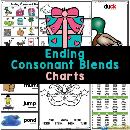 Blends And Digraphs Explained: With Free Resources