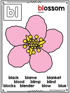 Phonics Beginning Consonant Blends Charts (Initial Blending Words with ...