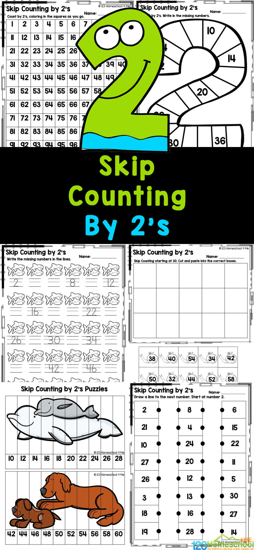 Skip Counting by 2 Worksheets