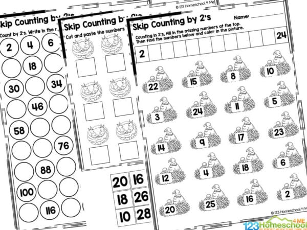 Skip Counting by 2 Worksheets