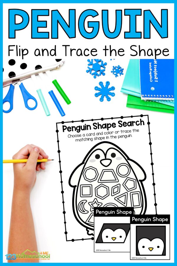 🐧 Penguin Math Worksheets: Fun Shape Matching Activity