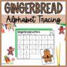 Gingerbread Letter Recognition Activities for Preschoolers