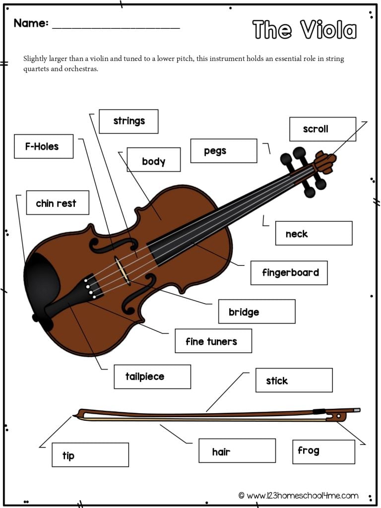 The Orchestra and Instrument Families Worksheets