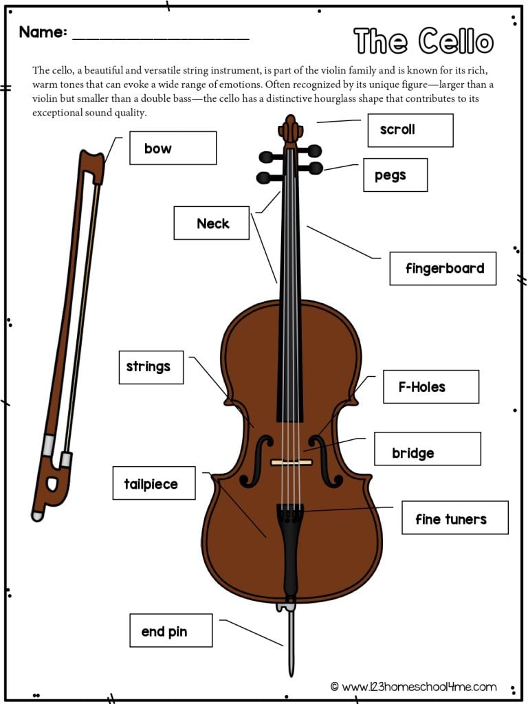 The Orchestra and Instrument Families Worksheets