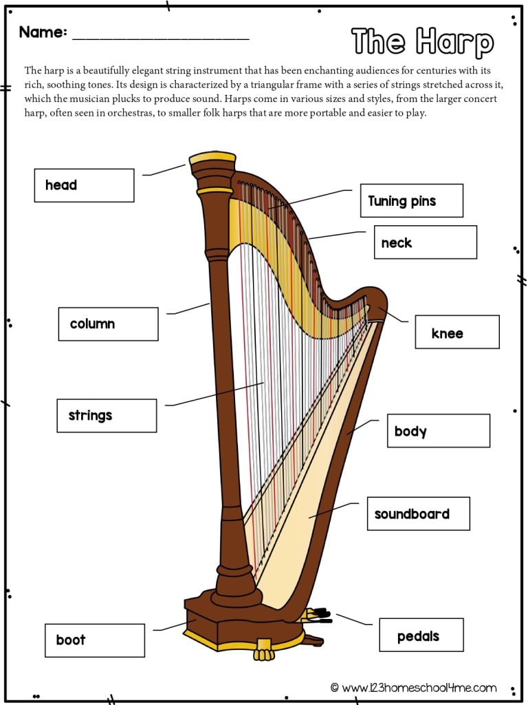 The Orchestra and Instrument Families Worksheets