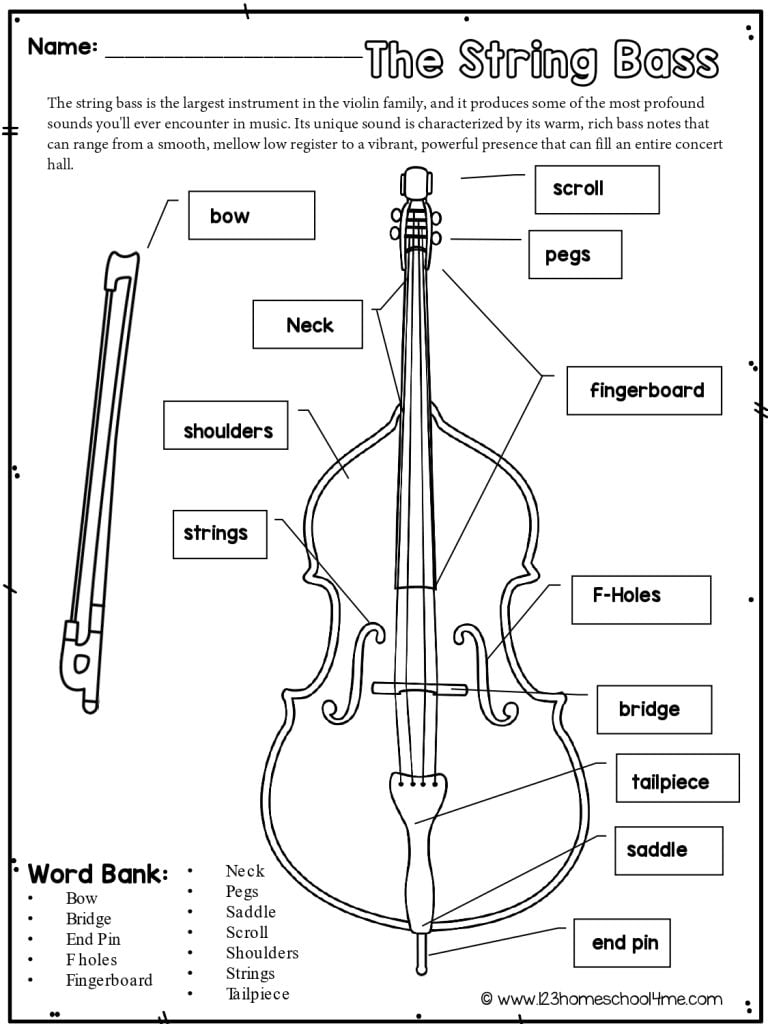 The Orchestra and Instrument Families Worksheets