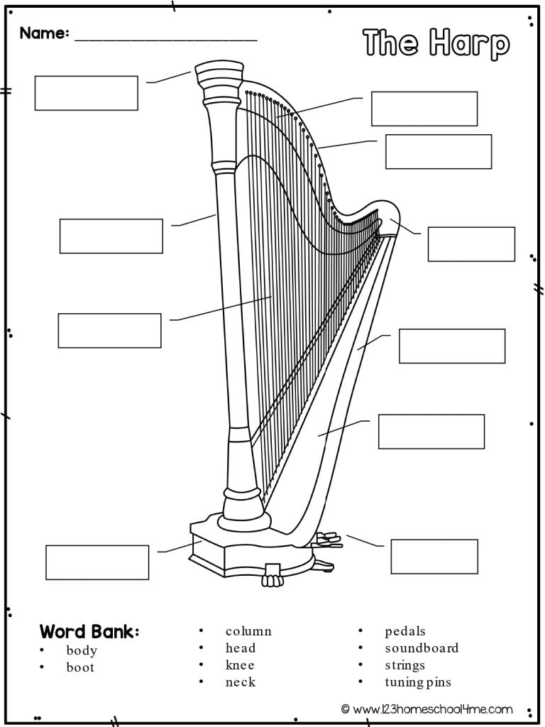The Orchestra and Instrument Families Worksheets