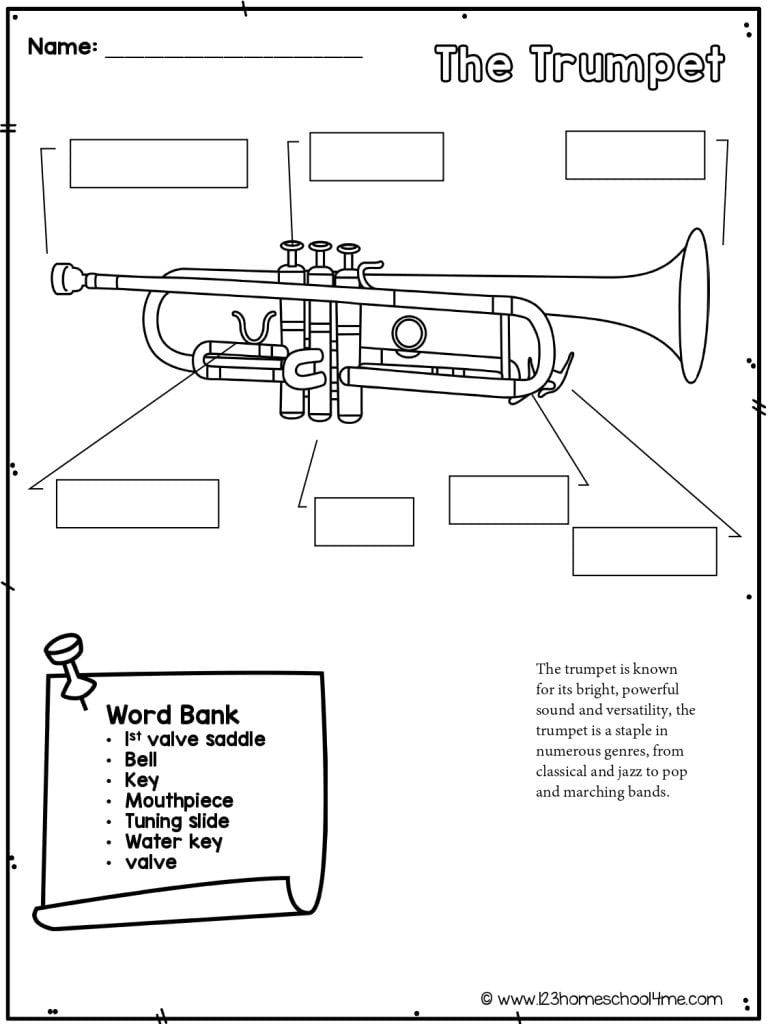 The Orchestra and Instrument Families Worksheets