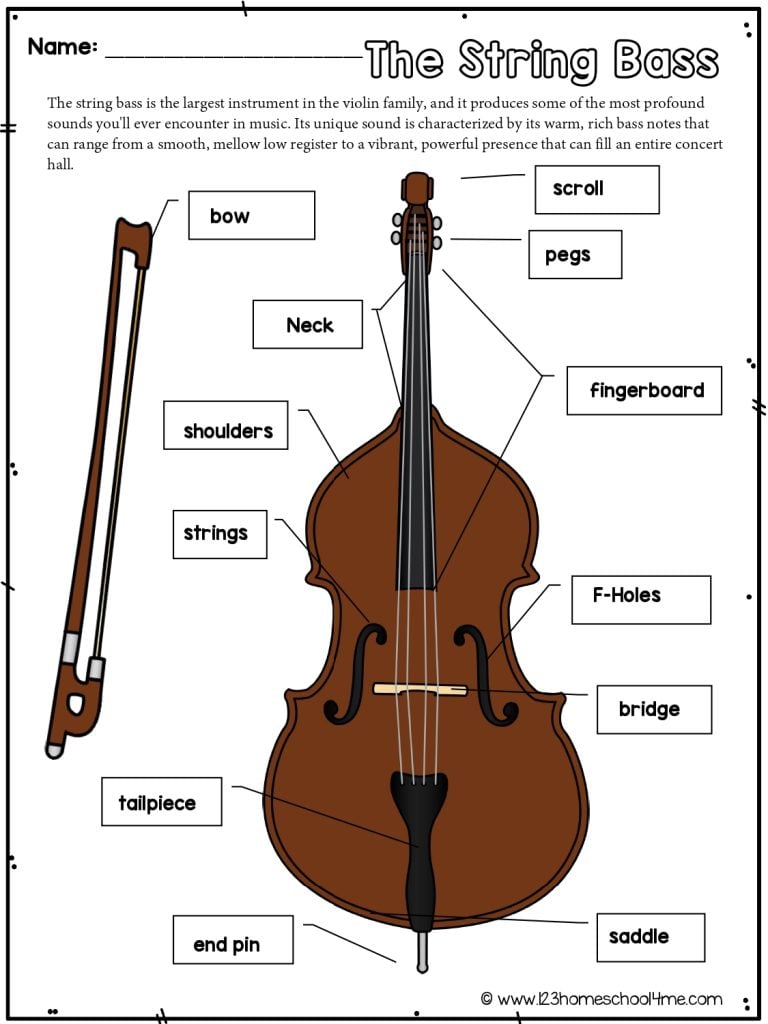 The Orchestra and Instrument Families Worksheets