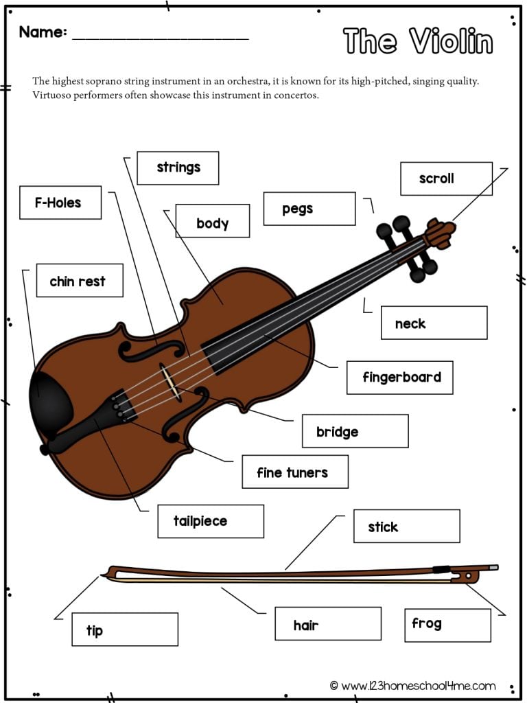 The Orchestra and Instrument Families Worksheets