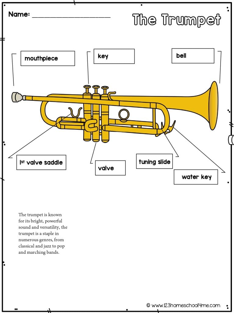 The Orchestra and Instrument Families Worksheets