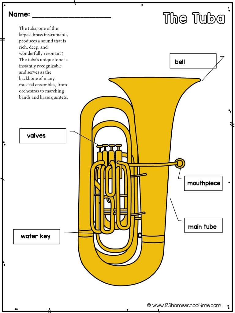 The Orchestra and Instrument Families Worksheets