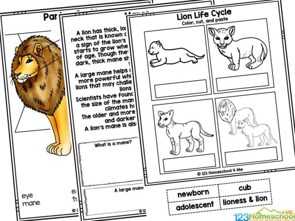 🦁 From Cubs to Kings: Exciting Lion Life Cycle Worksheets