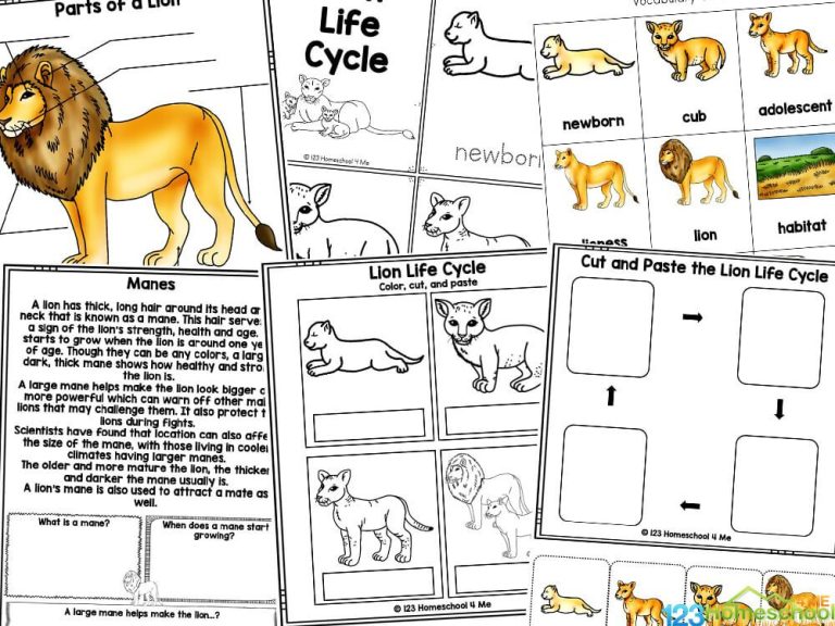 🦁 From Cubs to Kings: Exciting Lion Life Cycle Worksheets