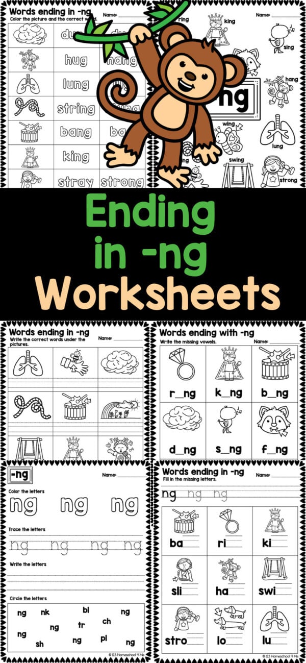 Words Ending with ng - FREE Digraph Worksheets