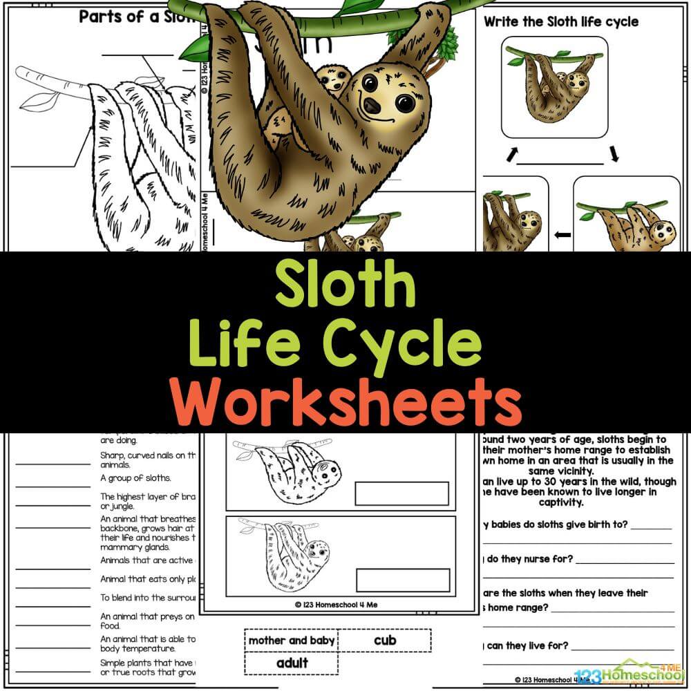 Life Cycles Archives - 123 Homeschool 4 Me