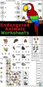 FREE Printable Animal Word Searches for Kids