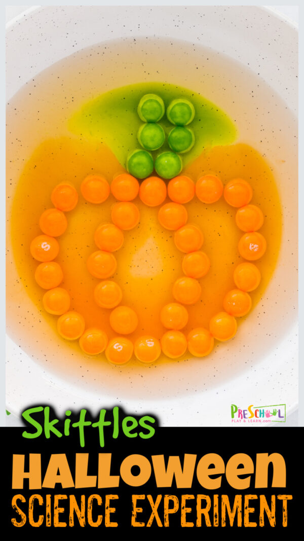 FREE Printable Halloween Activity Worksheets for Kids