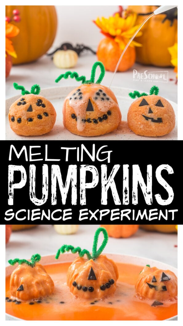 FREE Life Cycle of a Pumpkin Printable Set